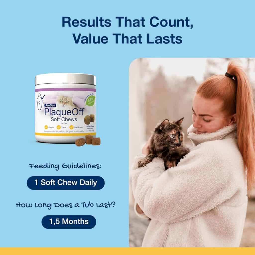 Cat Teeth Care: Keep Your Feline’s Teeth Healthy and Strong